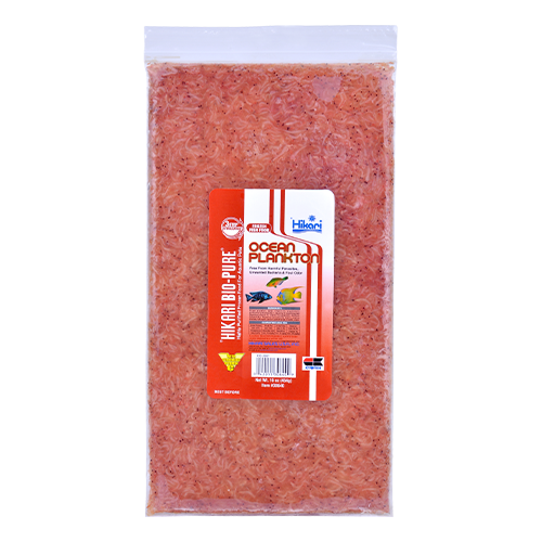 Hikari Frozen Plankton Flat 16 oz – SomethingFishyLLC